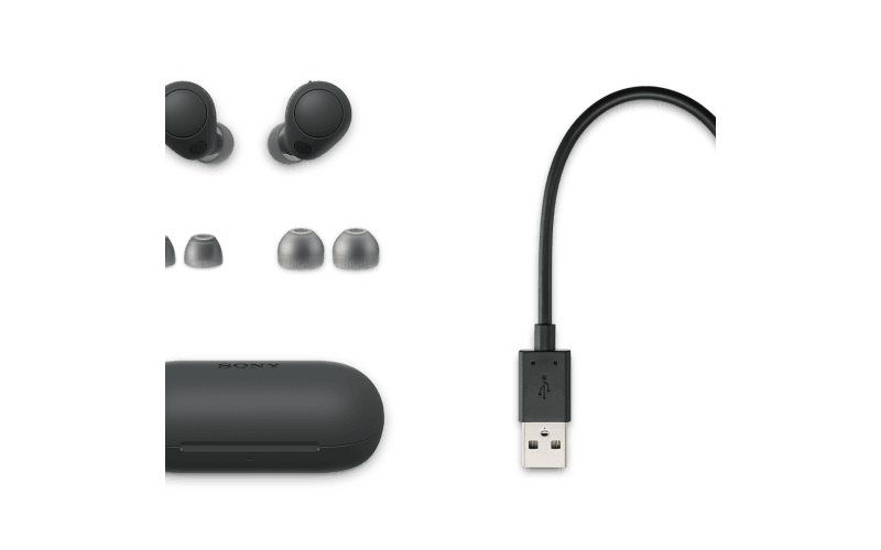 Sony WF-C700N True Wireless Noise Cancelling Earbuds - All-day comfort ...