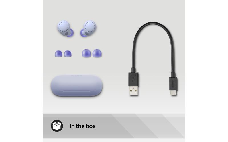Sony WF-C700N True Wireless Noise Cancelling Earbuds - All-day comfort ...